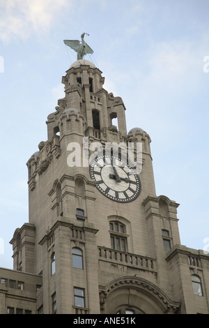 Royal Liver Building by Thomas (1908); Pier Head; Liverpool; England ...