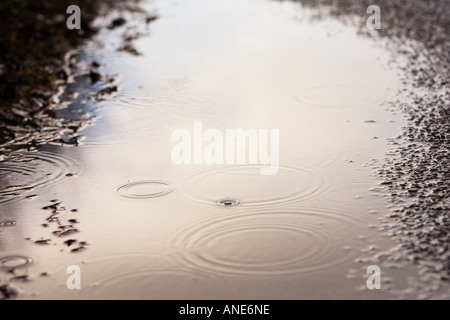 Ripples of raindrops in puddle Stock Photo - Alamy