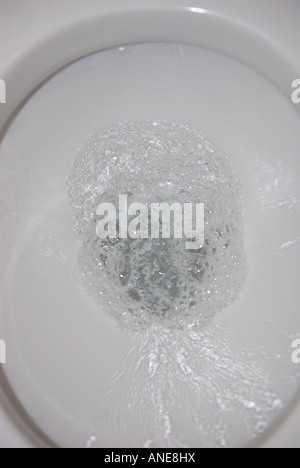 Toilet being flushed Stock Photo - Alamy
