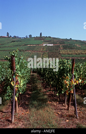 Sign Alsace Wine Route, near Eguisheim, Departement Haut-Rhin, Grand ...