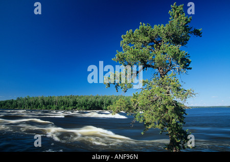 Sturgeon Rapids on Nutimik Lake, Whiteshell Provincial Park, Manitoba ...