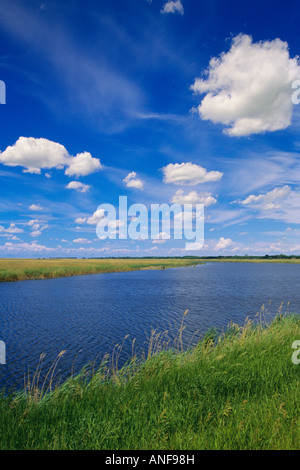 Delta Marsh at Lake Winnipeg, Manitoba, Canada Stock Photo - Alamy