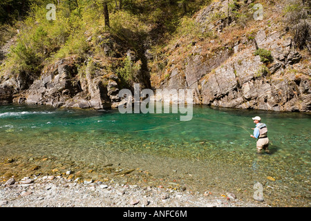 Fly-fishing on tributary of Elk River near Fernie, Elk Valley, East ...