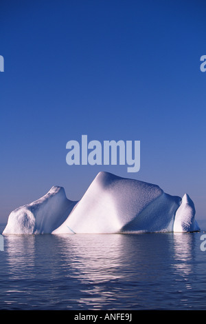Iceberg floating off coast of Newfoundland, Canada Stock Photo - Alamy