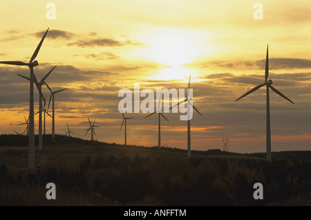 wind farm, Cap-Chat, Quebec, Canada Stock Photo - Alamy