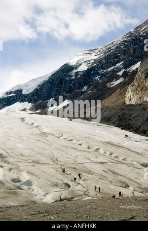 People climbing on the columbia icefields, jasper national park ...
