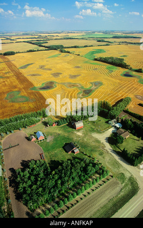 Aerial of prairies and farms Saskatchewan, Canada Stock Photo - Alamy