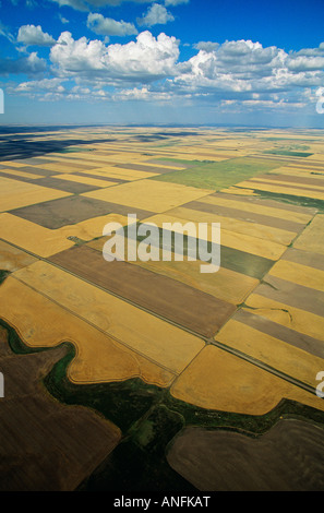 Aerial of prairies and farms Saskatchewan, Canada Stock Photo - Alamy
