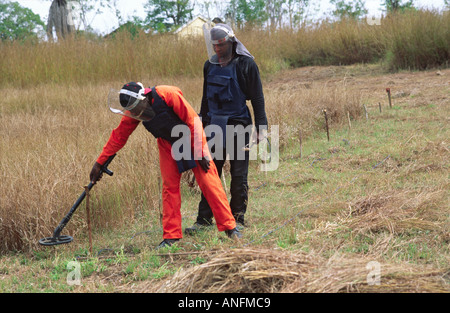 Landmine disposal expert with a trainee learning how to detect land ...