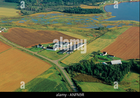 Aerial of a potato farm, Tryon, Prince Edward Island, Canada Stock ...