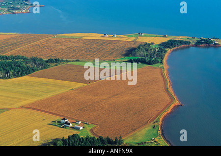 Aerial of a potato farm, Tryon, Prince Edward Island, Canada Stock ...