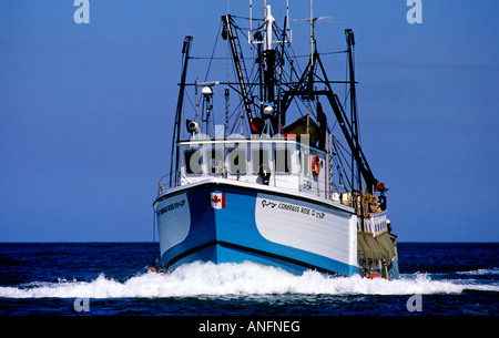 Scallop fishing boats docked at Digby, Nova Scotia, Canada Stock Photo ...