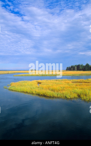 Tantramar Marsh, Tidnish, Nova Scotia, Canada Stock Photo - Alamy