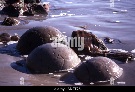 Moeraki Boulders, spherical rocks, East Coast, Otago, South Island, New ...