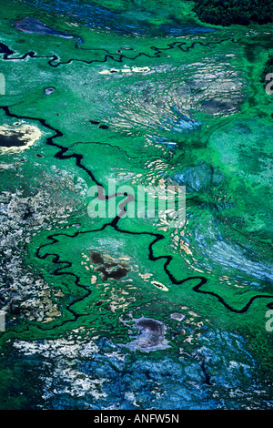 Aerial of Muskeg, Northern Ontario, Canada Stock Photo - Alamy