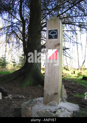 Orienteering Control Point Sign Stock Photo - Alamy
