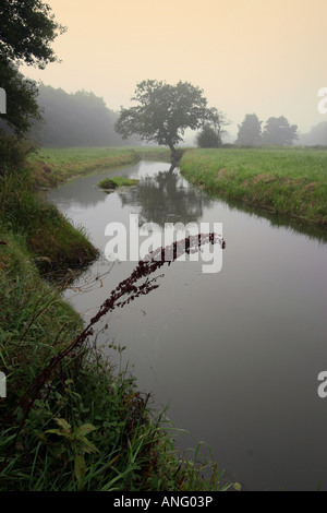 small lowland river in morning Stock Photo - Alamy