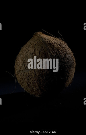 Coconut on dark background. Tropical fruit Stock Photo - Alamy