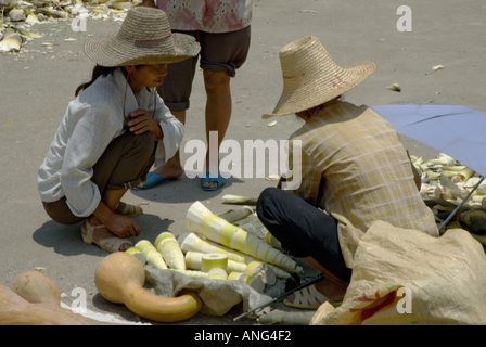 Woman straw hat bamboo shoot garden rural red shirt green leaf ...
