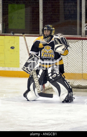 ice hockey player in action kicking with stick Stock Photo - Alamy