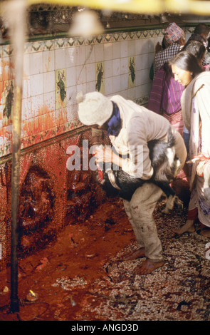 Goat sacrificed to the Goddess Kali at the Dakshinkali Temple in Nepal ...