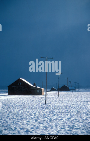 Telephone Poles in Bleak Winter Landscape Stock Photo - Alamy