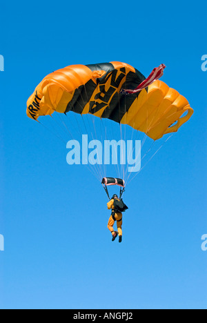 A U.S. Army free fall parachutist prepares for landing on the drop zone ...