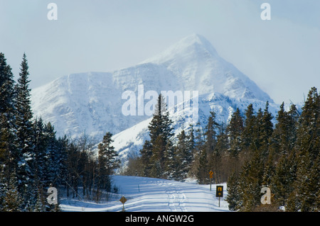 Bellevue Hill with Mount Galwey in background as viewed from Highway 6 ...