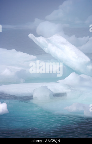 Pack ice and icebergs in Strait of Belle Isle, Newfoundland and ...