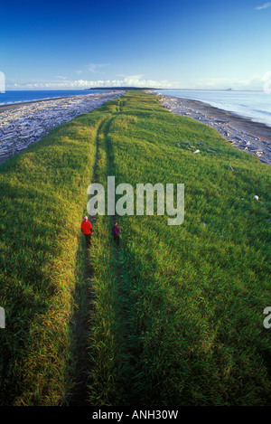 Haida Gwaii, British Columbia, Canada Stock Photo - Alamy