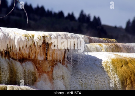 Mammoth Hot Springs in Yellowstone NP, USA Stock Photo - Alamy