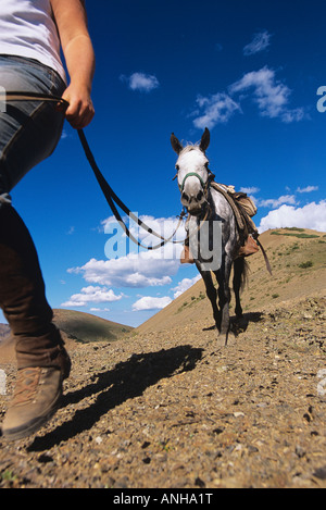 Horses and riders in the South Chilcotin Mountains, near Gold Bridge ...