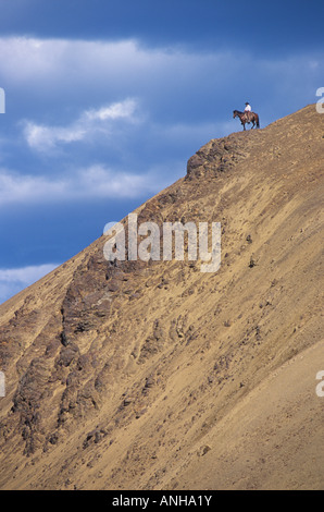 Horses and riders in the South Chilcotin Mountains, near Gold Bridge ...