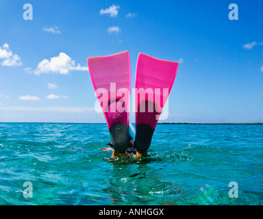 carribean blue mask Stock Photo - Alamy