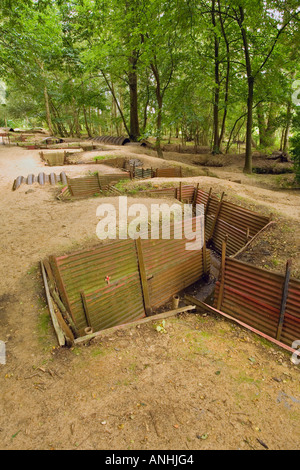 Preserved WW1 shell holes and trenches at Sanctuary Wood near Ypres ...
