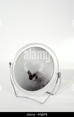 round mirror steamed Stock Photo - Alamy