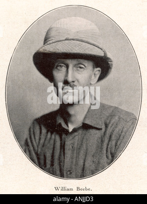 WILLIAM BEEBE (1877-1962) American naturalist, explorer and author ...