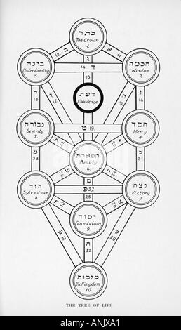 THE TREE OF LIFE of the Jewish Caballa (variously spelt). An old ...