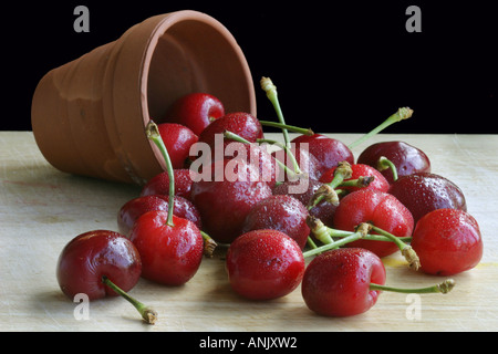 Cherries outside a Terracotta pot Stock Photo - Alamy