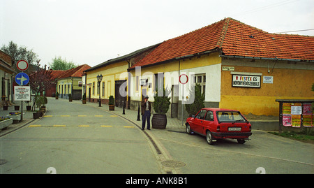 The Tokaj village: the main street with its colourful houses in blue ...