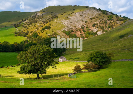Upland landscape near Thorpe Cloud and Ilam in the Peak District ...