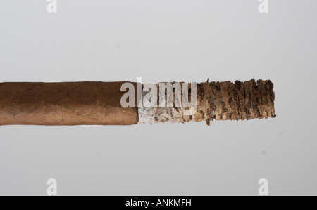 Cigar long ash Stock Photo - Alamy