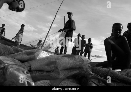 Tribal fishermen catch fish with fishing nets in the creek. Tribals ...