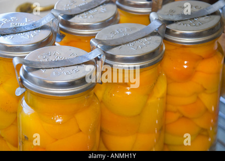 Bottled ripe apricots packed into vacuum jars to be preserved in a ...