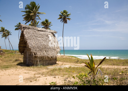 Aldeia Hippie Village, Arembepe, Salvador Bahia, Brazil Stock Photo - Alamy