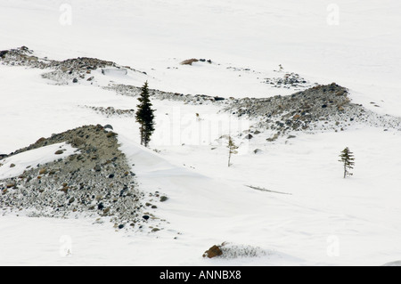 Austere winter conditions at The Columbia Icefields, Banff National ...