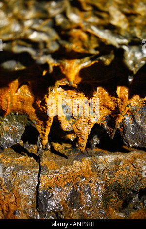 Inside Gruta do Carvao lava tube cave Sao Miguel island Azores islands ...