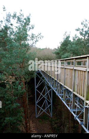Tree Top Way, Salcey Forest, Northamptonshire, England, UK Stock Photo ...