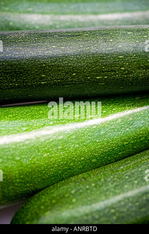 COMMON NAMEL: Courgettes LATIN NAME: Cucurbita pepo Stock Photo - Alamy