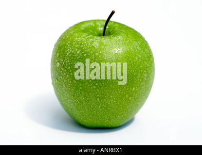 COMMON NAMEL: Green apple LATIN NAME: Malus Stock Photo - Alamy